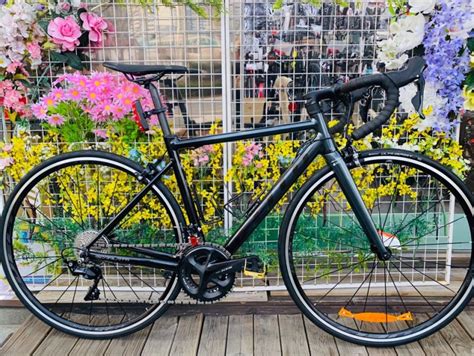 부산자전거 부산로드자전거 첼로자전거 2020 스칼라티a7 로드 사이클 도로형 공원라이딩 레저용 동래구 사직동 고객님 부산삼천리