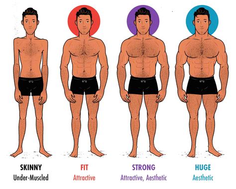 Ideal Male Physique Key Traits For Strength Health And Confidence