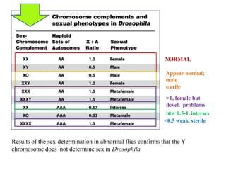 Sex Determination And Sex Linkage Dr Pratibha Bisen PDF