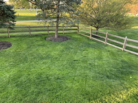 Splotchy Color Rlawncare