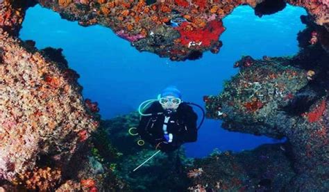 Alasan Pulau Pramuka Jadi Spot Diving Terbaik Saat Liburan Pulau Pramuka