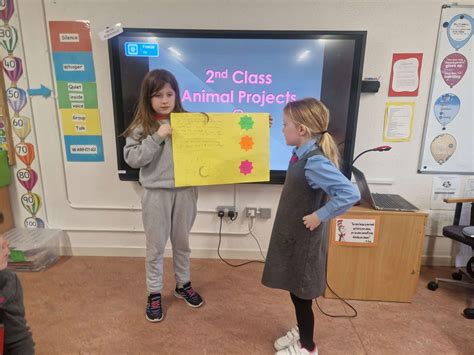 2nd Class Project Presentation Day Bushypark