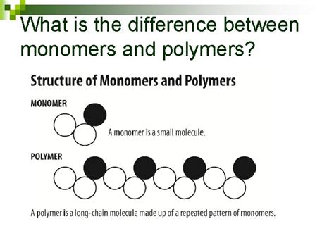 Chapter Carbon Compounds Monomer Vs Polymer