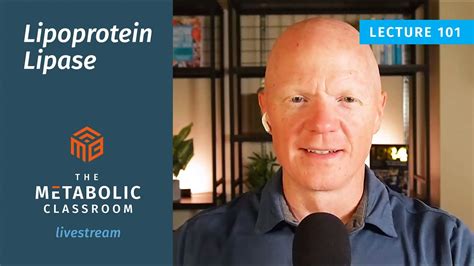 101 How Lipoprotein Lipase Lpl Determines Where Your Body Stores Fat