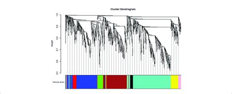 clustering dendrogram of all differentially expressed genes based on