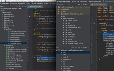 intellij idea vs webstorm a detailed comparison