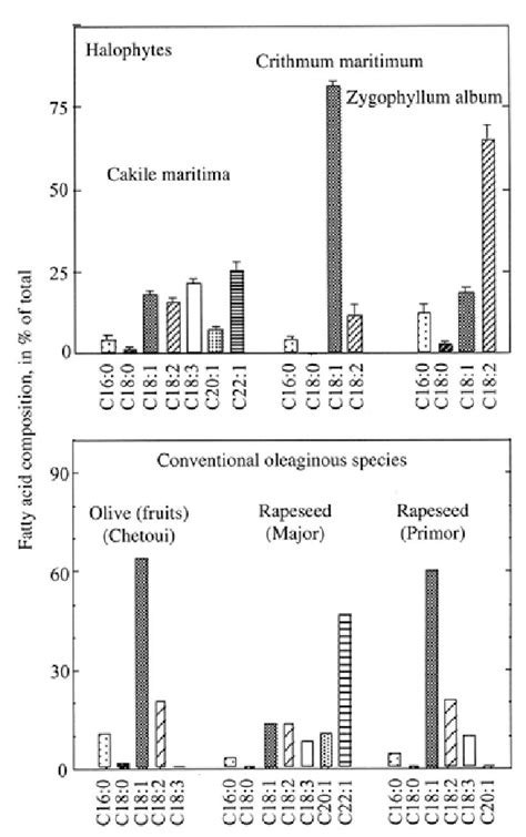 Fatty Acid Composition Of Seeds Of Halophytes In Percent Of Total And