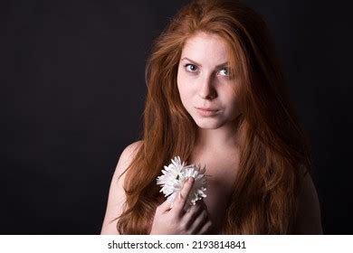 Sexy Beautiful Redhead Girl Long Hair Stock Photo 2193814841 Shutterstock