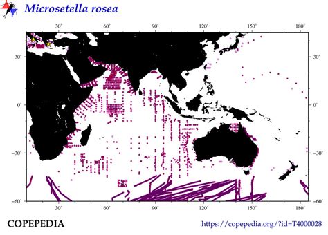 COPEPEDIA Summary For Microsetella Rosea T Species