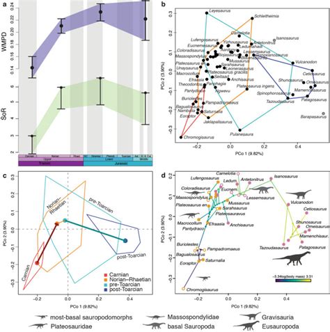 Sauropodomorph Evolution Across The Triassicjurassic Boundary Body Size Locomotion And Their