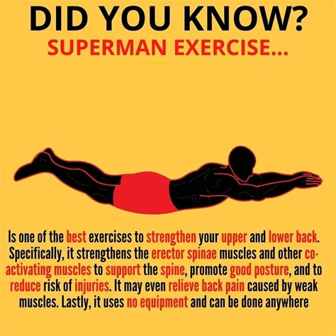 Superman Exercise Superman Workout Fitness Facts Effective Workout Routines
