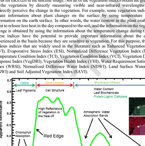 Vegetation Spectrum [17] Download Scientific Diagram