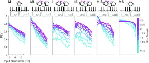 phase locking to quasi rhythmic inputs plots show the spike rate