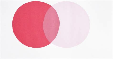 Logical Fallacy 2013 Lucy Watts