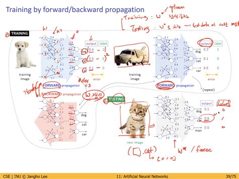 Artificial Neural Networks Multilayer Perceptronmlp Softmax Function Forward Backward