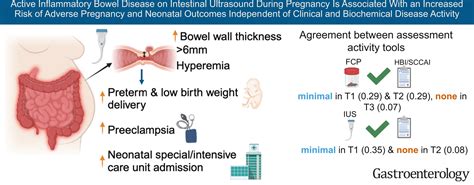 Active Inflammatory Bowel Disease On Intestinal Ultrasound During