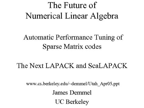 The Future Of Numerical Linear Algebra Automatic Performance