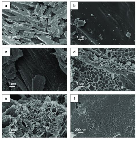 A SEM Image Of TC Precursor B SEM Image Of ATC Sample C SEM Download Scientific