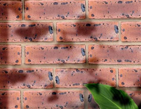 Maxi Bricks Archives Roma Bricks