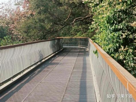 车辆的车联网技术（如v2x）如何与其他车辆和基础设施通信，以提升整体道路安全？ 知乎