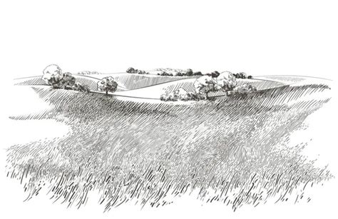 How To Draw Grass Field With Pencil