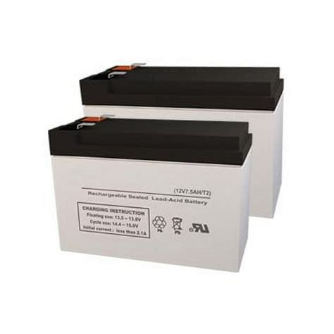 Razor E100 Electric Scooter Battery Set