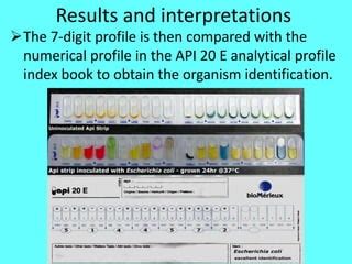 Analytical Profile Index API Automated Machines PPT