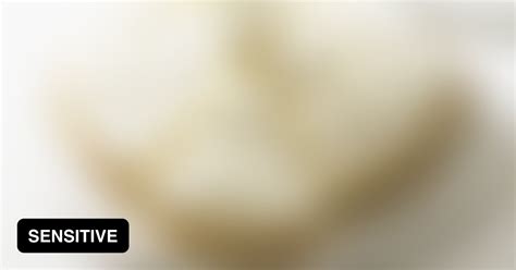 Soliciting Creampie Collection 9gag Soliciting Creampie Collection 9gag