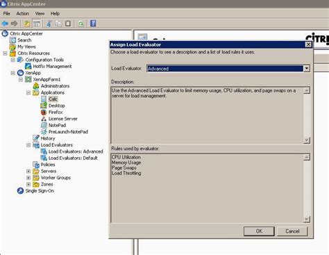 It Professional Citrix Xenapp 6 5 Part 15 Load Balancing