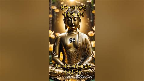 진짜 더러움은 마음에 있다” 명언 긍정의말 좋은글 명언 긍정의말 좋은글 긍정적마인드 지혜 긍정의한줄 긍정적마인드 지혜 긍정의한줄 인생조언 Youtube