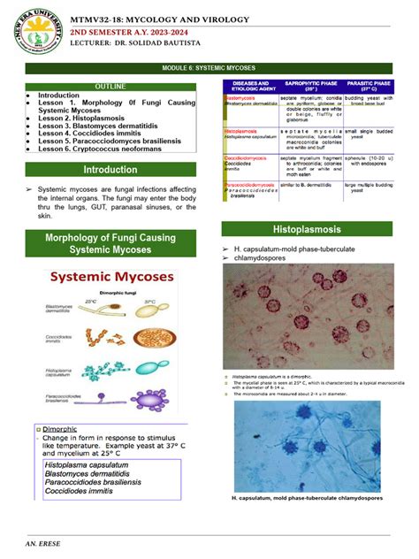 Systemic Mv Pdf Medical Specialties Fungus