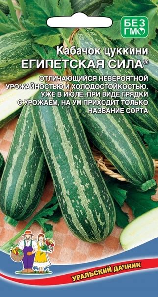 В НАЛИЧИИ!!! Кабачок цуккини ЕГИПЕТСКАЯ СИЛА® Раннеспелый кустовой сорт ...