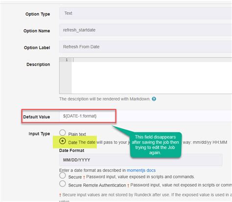 Option Input Type Date Format Default Value Field Gone · Issue