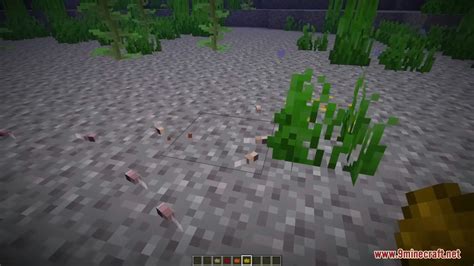 Angling Mod 1minecraft
