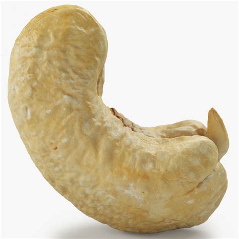 Cashew 3d Model 44 Max Free3d