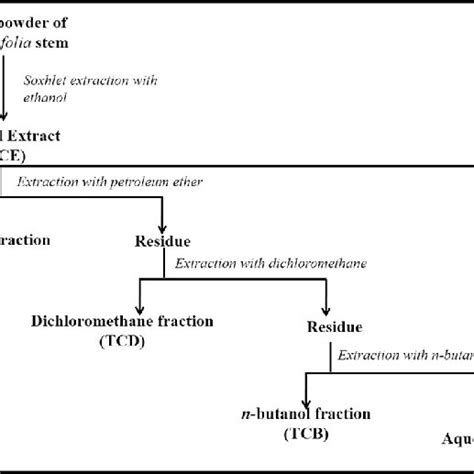 Schematic Representation Of Extraction And Fractionation Of T
