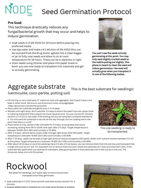 Seed Germination Protocol Pdf Seed Germination