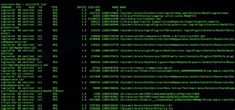 Malware Hunting On MacOS A Practical Guide