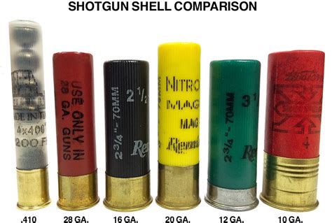 12 Gauge Shotgun Shell Sizes