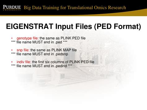 gxg and gxe ppt download