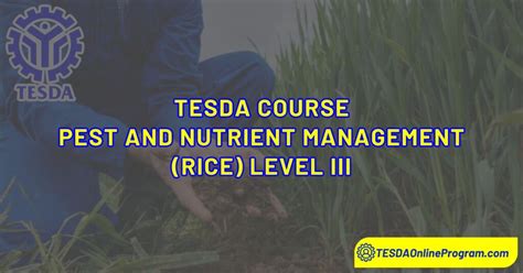 Tesda Pest And Nutrient Management Rice Level Iii Course Tesda Online Program