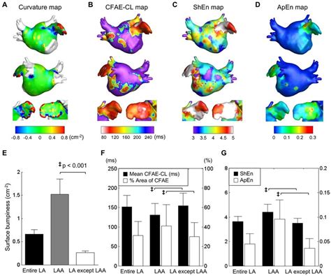 The 3d Left Atrial La Mapping Of Curvature Complex Fractionated Download Scientific Diagram
