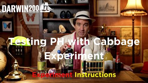 Testing Ph With Cabbage Experiment Worlds Most Exciting Classroom