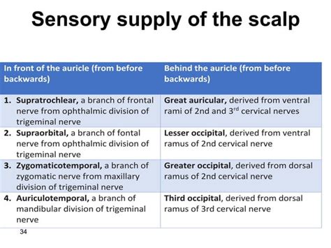 Anatomy Of SCALP And Its Blood And Nerve Supply Ppt