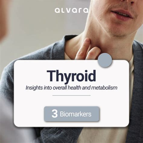 Thyroid Panel Alvara Health