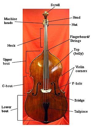 Double Bass Wikipedia