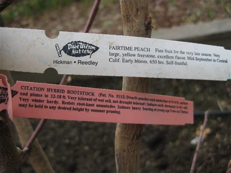 Understanding Fruit Tree Labels By Farmer Fred Hoffman