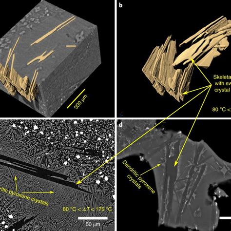Plagioclase Crystal Morphology A The 3d Volume Rendering Of Sample