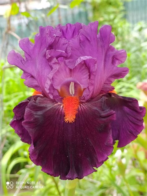 Sharpdresed Man Sharp Dressed Man Men Dress Plants