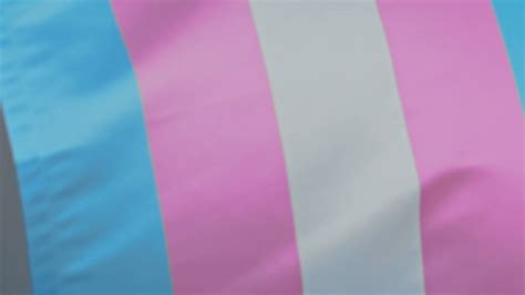 A Transgender Falg Waving Slowy Featuring Blue Pink And White Colors A Transgender Falg Waving Slowy Featuring Blue Pink And White Colors